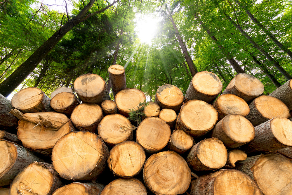 Log Rules & Scale Sticks for Timber Scaling | CSP Forestry